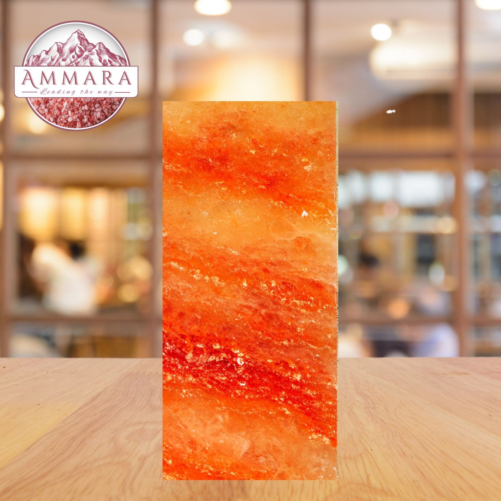 Salt Bricks - Ammara Group